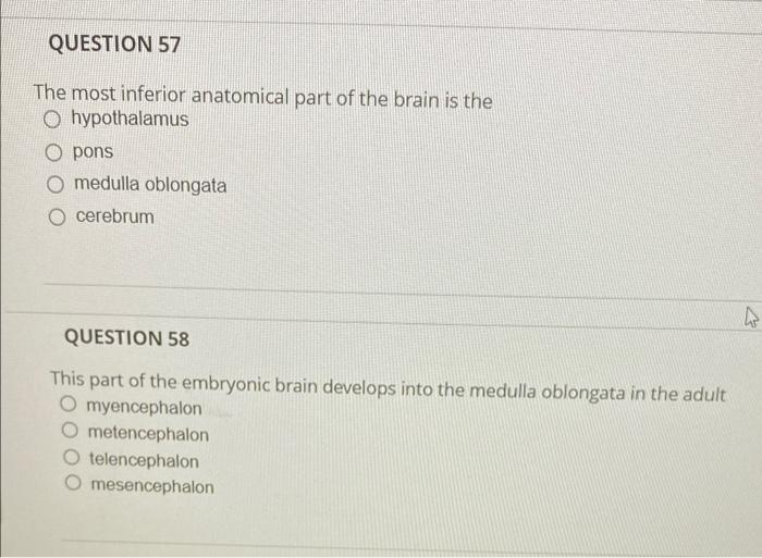 Solved QUESTION 51 Decussation of most motor spinal nerve | Chegg.com