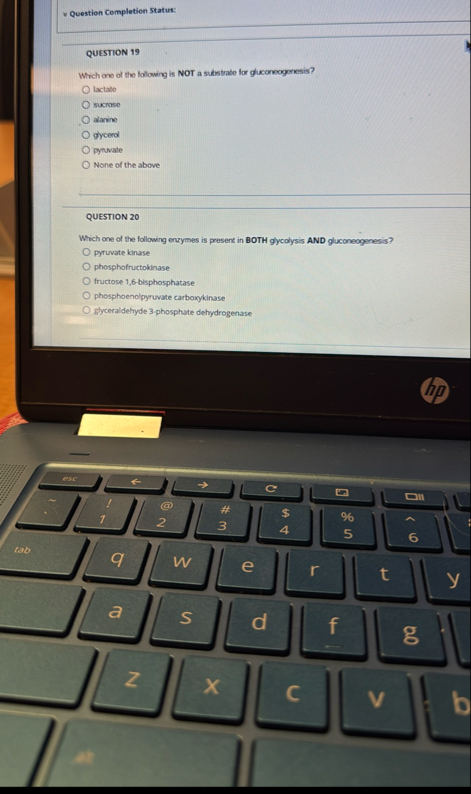 Solved Question Completion Status:QUESTION 19Which one of | Chegg.com