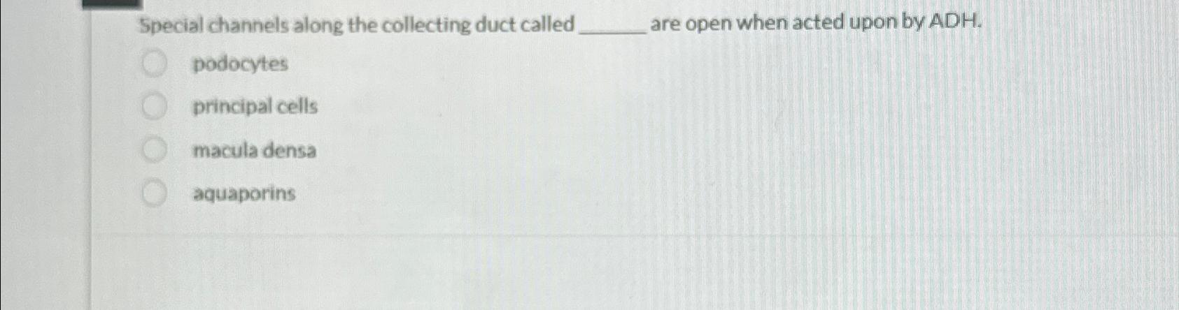 Solved Special channels along the collecting duct called are | Chegg.com