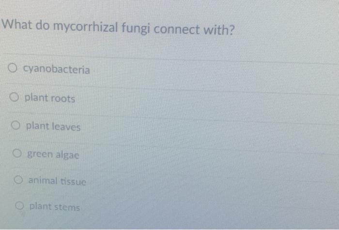 Solved What is karyogamy? O fusion of nuclei O fusion of | Chegg.com