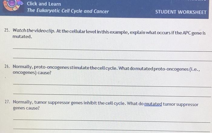 Solved Click and Learn The Eukaryotic Cell Cycle and Cancer | Chegg.com