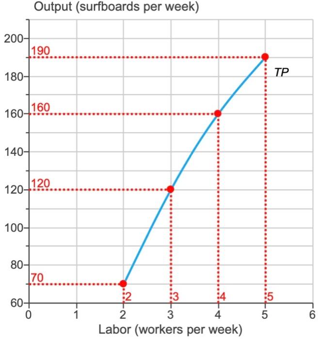 Solved The image shows Sue's Surfboards' total product | Chegg.com
