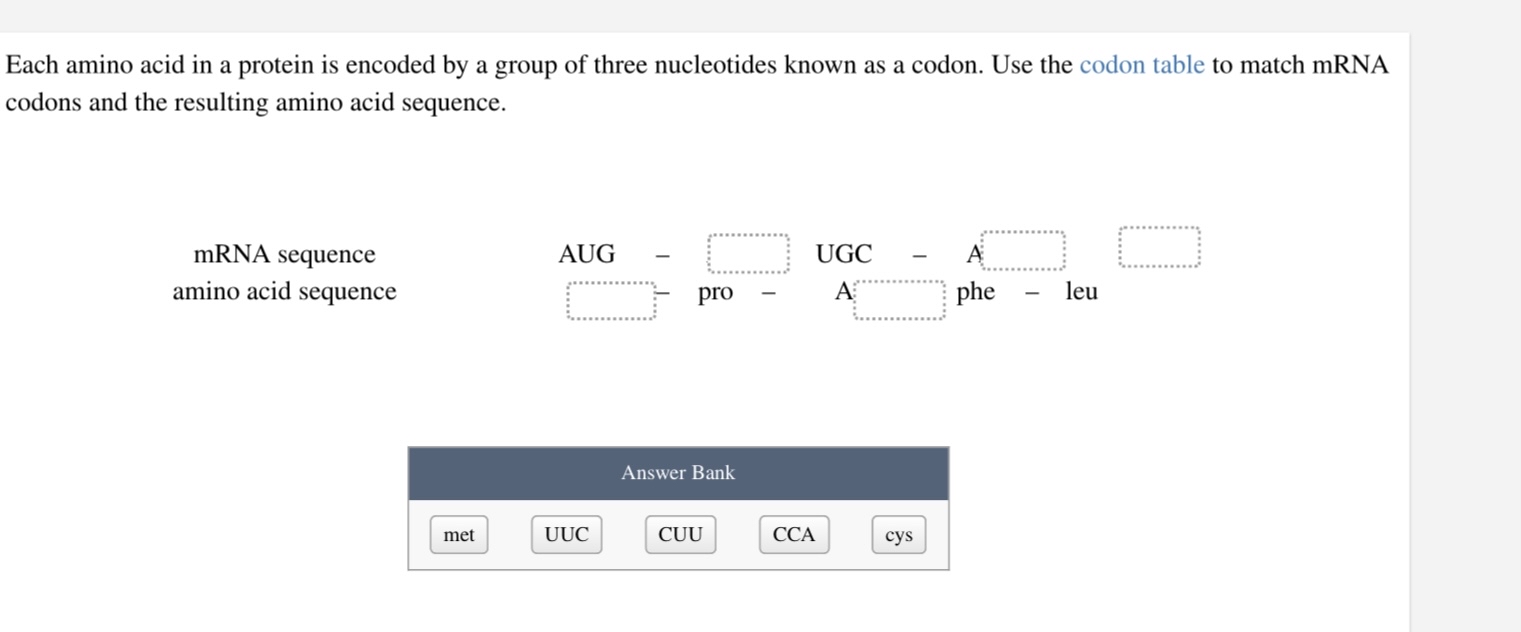 Solved by an EXPERT Each amino acid in a protein is encoded by a group of | Chegg.com