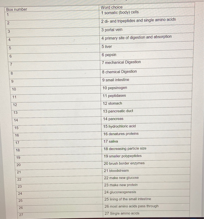 Solved complete the Protein metabolism concept map with the | Chegg.com