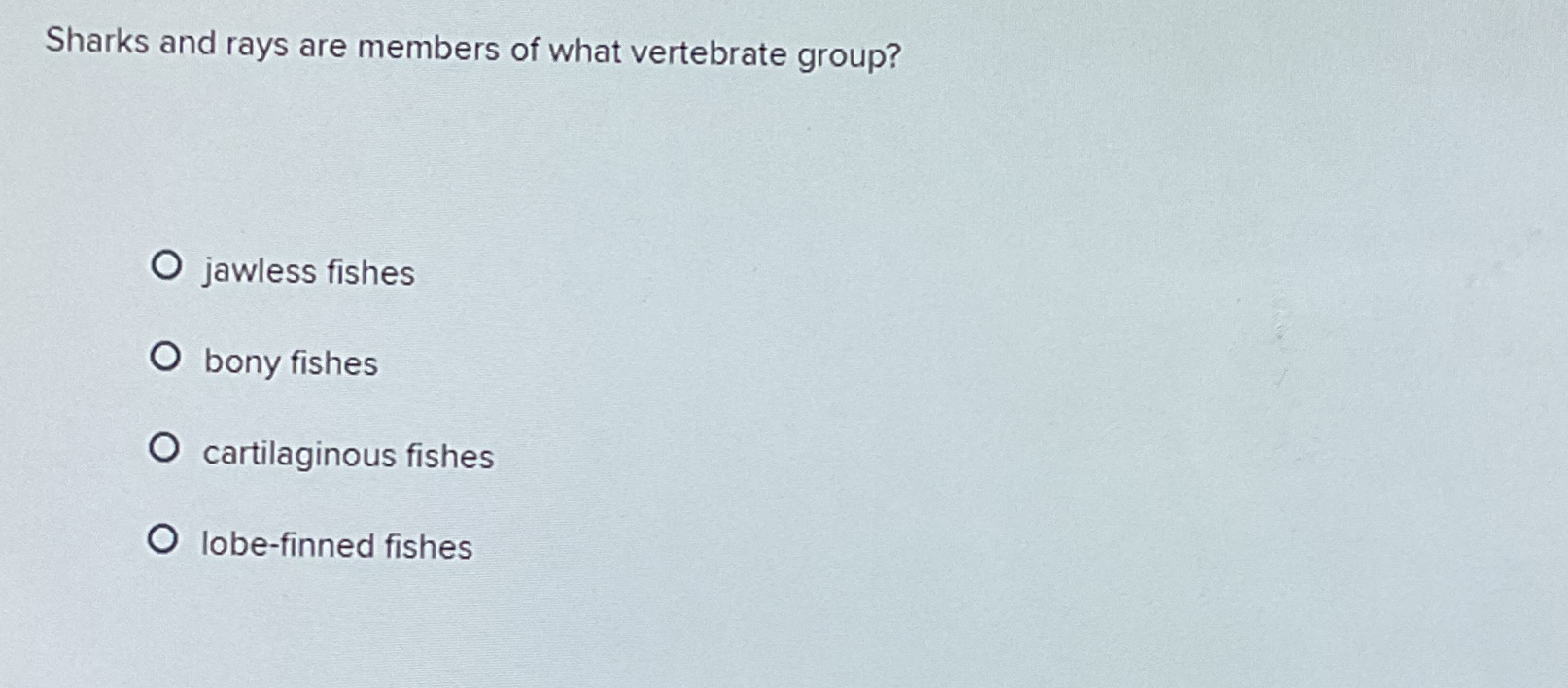 Solved Sharks and rays are members of what vertebrate | Chegg.com