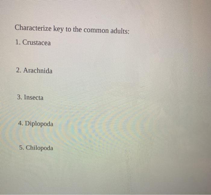 Solved Characterize key to the common adults: 1. Crustacea | Chegg.com