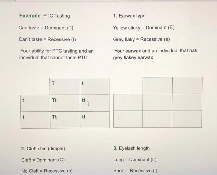 Solved Exercise B Mendel's Law of Segregation Complete the | Chegg.com