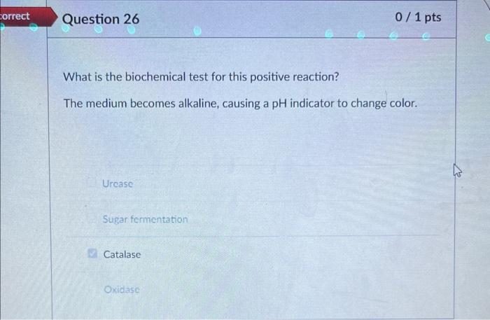 Solved What is the biochemical test for this positive | Chegg.com