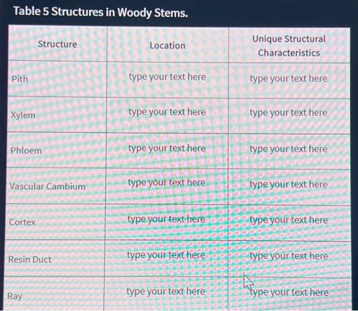 Solved Table 5 Structures in Woody Stems. Pith Xylem Phloem | Chegg.com