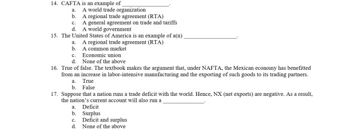 Solved c. 14. CAFTA is an example of a. A world trade | Chegg.com