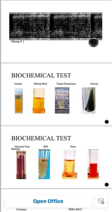 Solved Group 1 BIOCHEMICAL TEST Methyl Red Indol Citrate | Chegg.com