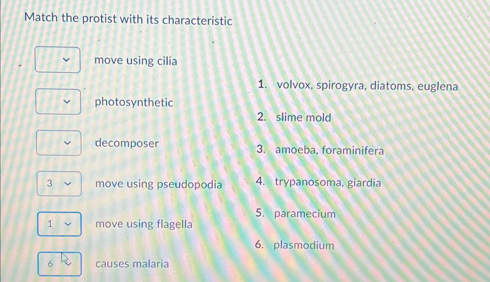 Solved Match the protist with its characteristicmove using | Chegg.com