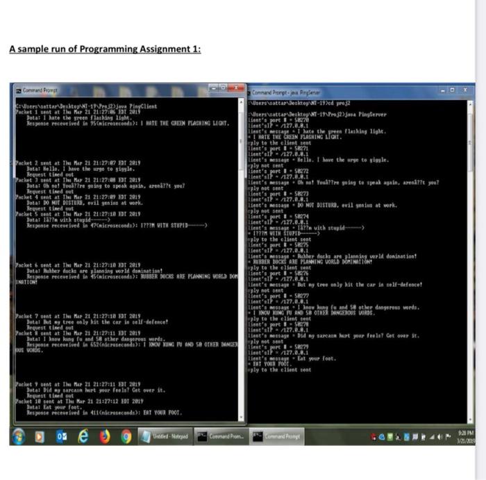 Solved Programming Assignment 1: UDP Pins Client/Server | Chegg.com