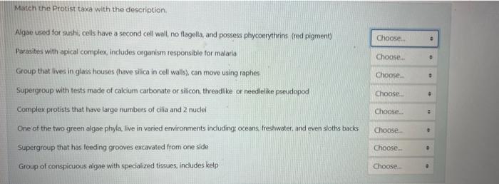 Solved Match the Protist taxa with the description Choose | Chegg.com
