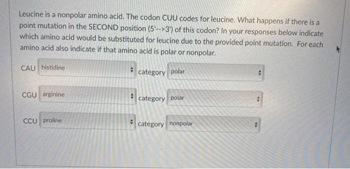 Solved Leucine is a nonpolar amino acid. The codon CUU codes | Chegg.com