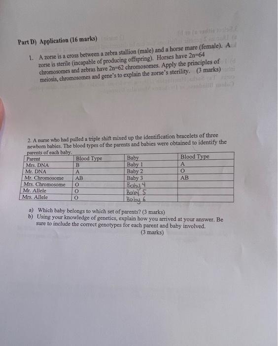 Solved Part D) Application (16 marks) 1. A zorse is a cross | Chegg.com