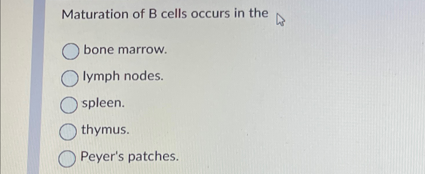Solved Maturation of B ﻿cells occurs in thebone marrow.lymph | Chegg.com