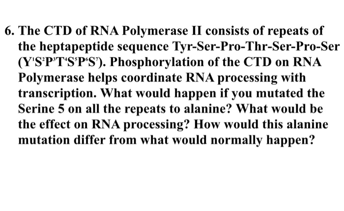 Solved 6. The CTD of RNA Polymerase II consists of repeats | Chegg.com