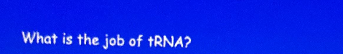 Solved What is the job of tRNA? | Chegg.com