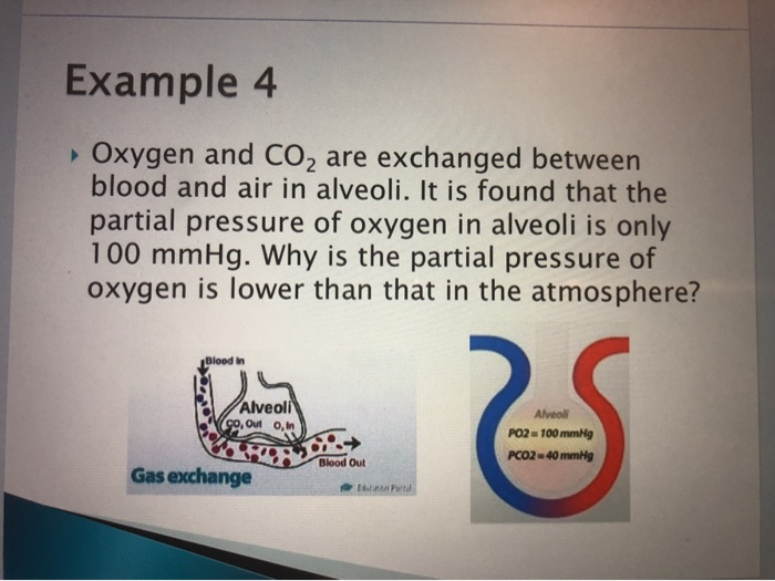 Solved Example 4 Oxygen and CO2 are exchanged between blood | Chegg.com