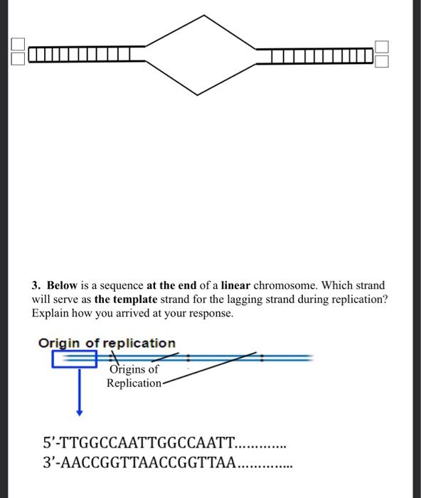 Solved BIOL208 DNA REPLICATION PRACTICE (Old Exam Questions) | Chegg.com