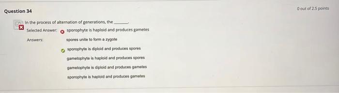 Solved Question 29 8 Which morphological trait evolved more | Chegg.com