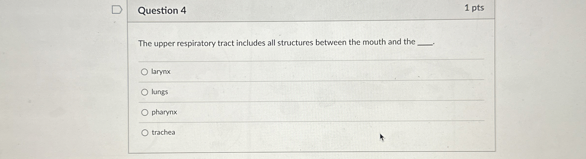 Solved Question 41 ptsThe upper respiratory tract includes | Chegg.com Solved Question 41 ptsThe upper respiratory tract includes | Chegg.com