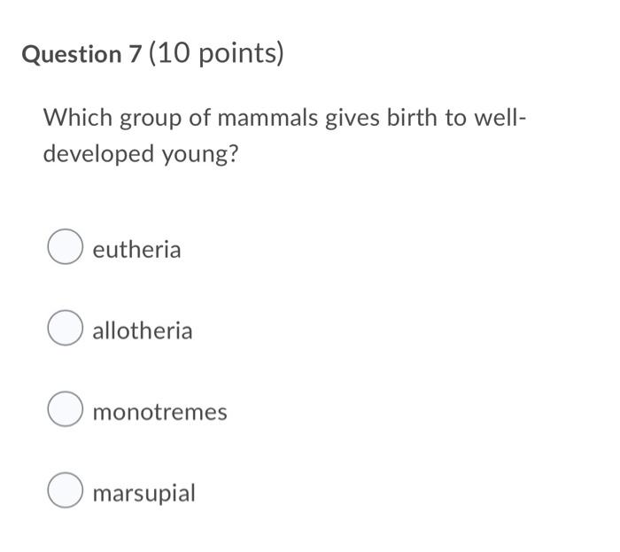 Solved Question 7 (10 points) Which group of mammals gives | Chegg.com