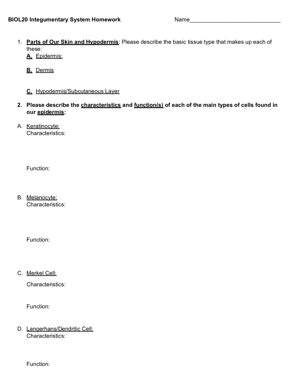 Solved BIOL20 ﻿Integumentary System HomeworkNamıParts of Our | Chegg.com