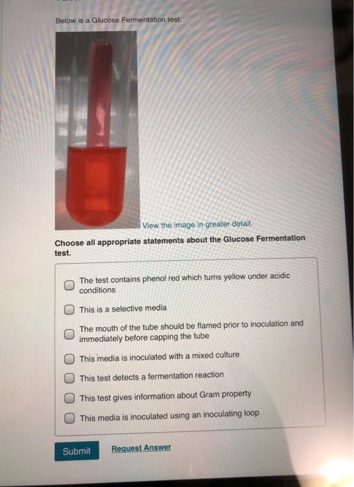 Solved Below is a Glucose Fermentation test. View the image | Chegg.com