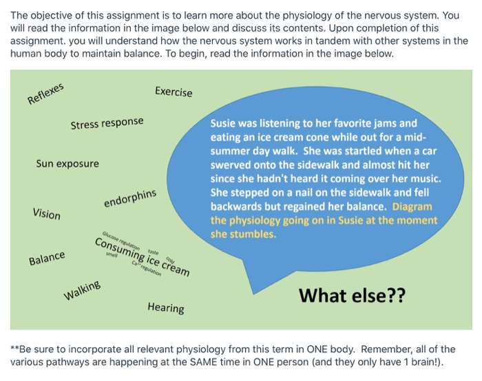 Solved The objective of this assignment is to learn more | Chegg.com