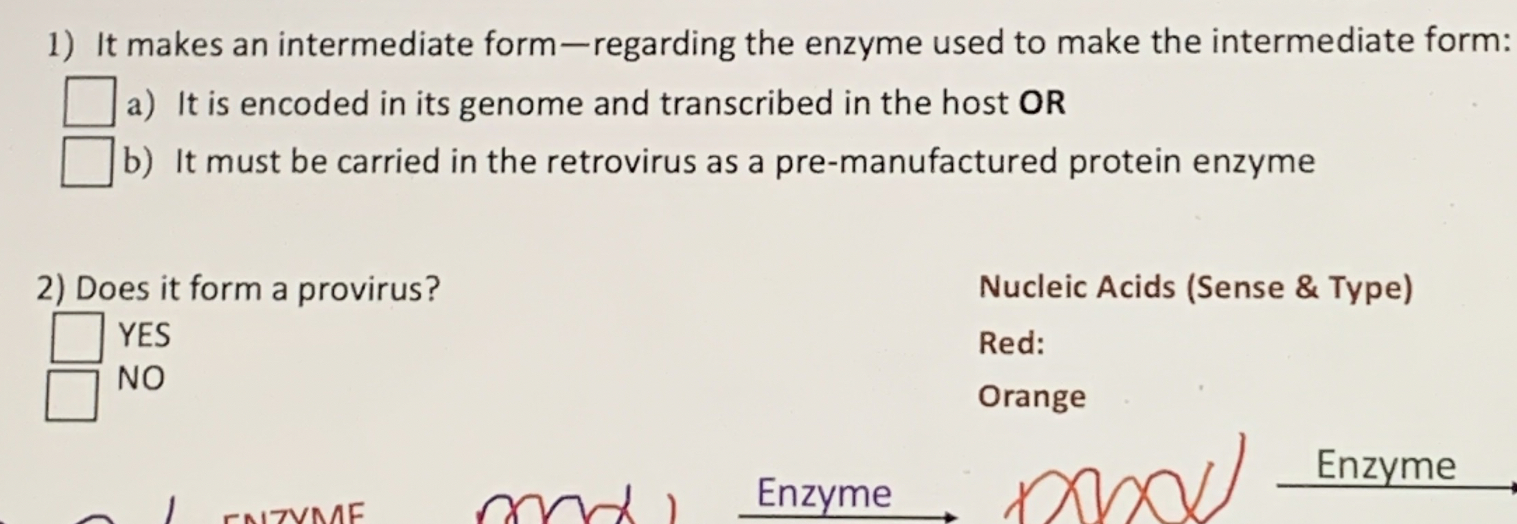 Solved It makes an intermediate form-regarding the enzyme | Chegg.com