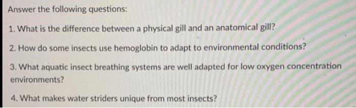 Solved Answer the following questions: 1. What is the | Chegg.com