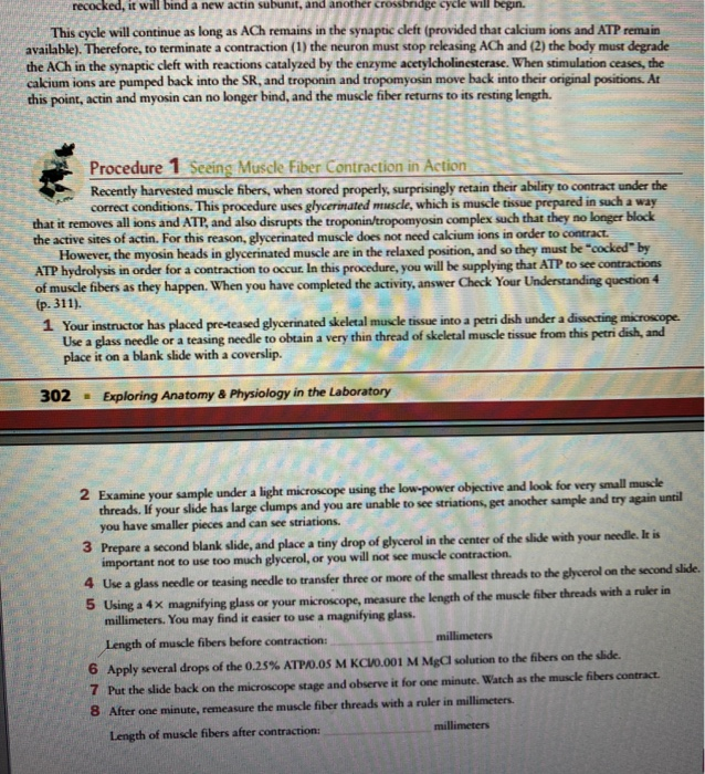 recocked, it will bind a new actin subunit, and | Chegg.com