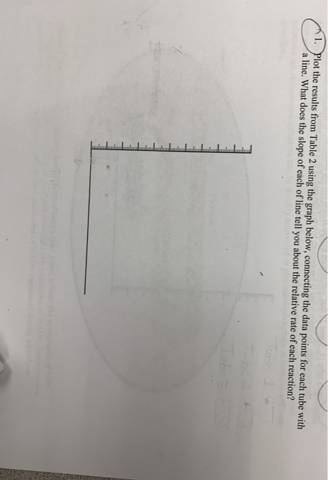 Solved Table 2. Spectrophotometer readings for assay of | Chegg.com