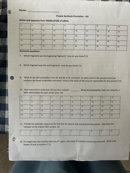 Solved Protein Synthesis A Simulation Activity - GG | Chegg.com
