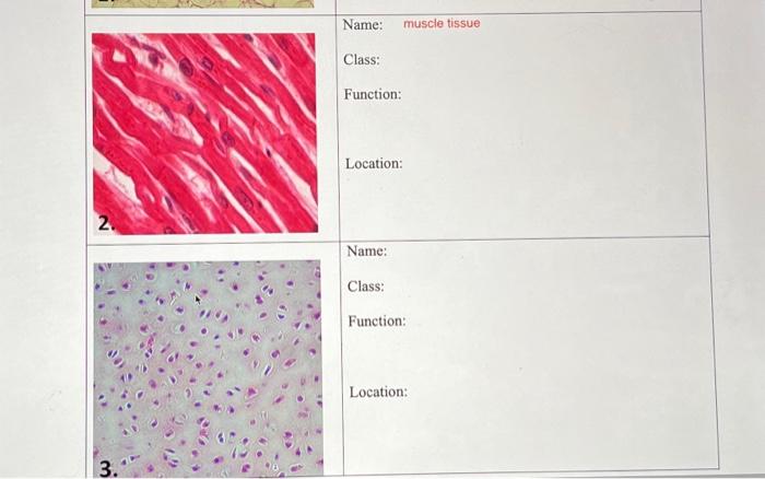 Solved I just need help with number 2 and 3. | Chegg.com