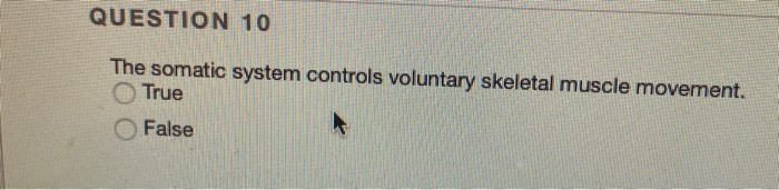 Solved QUESTION 10 The somatic system controls voluntary | Chegg.com