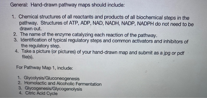 Solved General: Hand-drawn pathway maps should include: 1. | Chegg.com