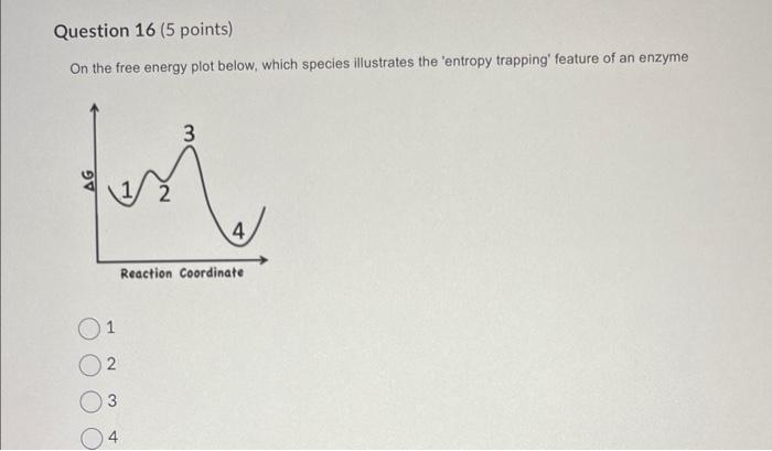 Solved Assume the specificity pocket in chymotrypsin is | Chegg.com