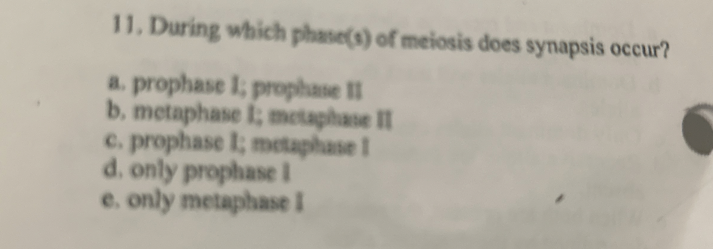 Solved During which phase((1) ﻿of meiosis does synapsis | Chegg.com
