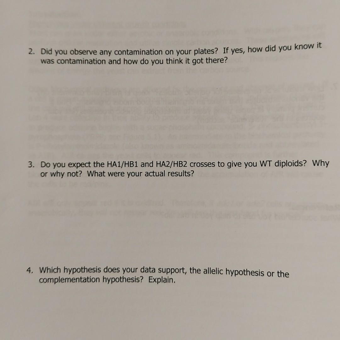 Solved Lab 4: Yeast Complementation Purpose In this | Chegg.com
