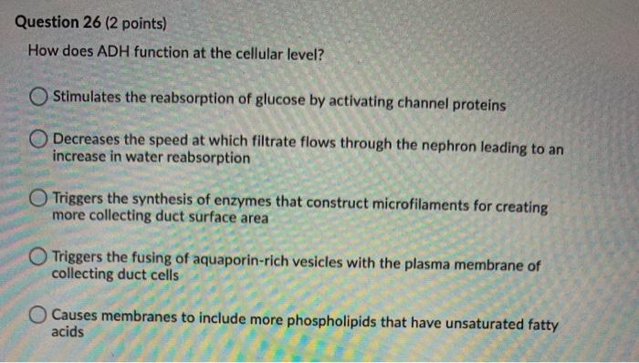 Solved Question 26 (2 points) How does ADH function at the | Chegg.com