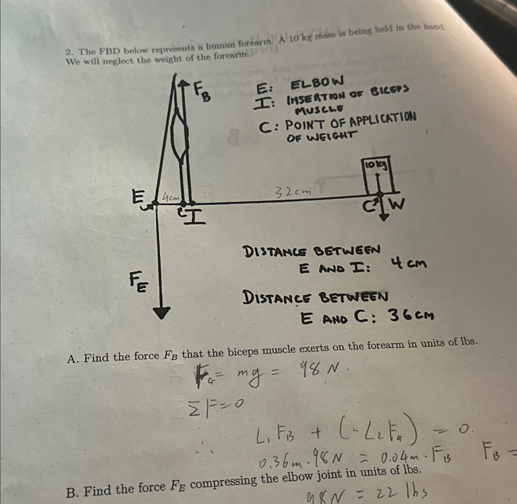 Solved The FBD below represents a human fotearm. A 10kg | Chegg.com