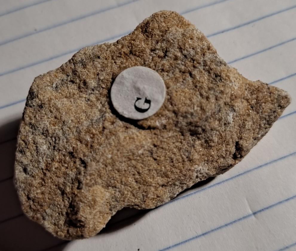 Solved Table 6: Sedimentary Rock Identification Rock Sample | Chegg.com