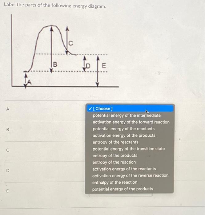 Solved Label the parts of the following energy diagram. | Chegg.com