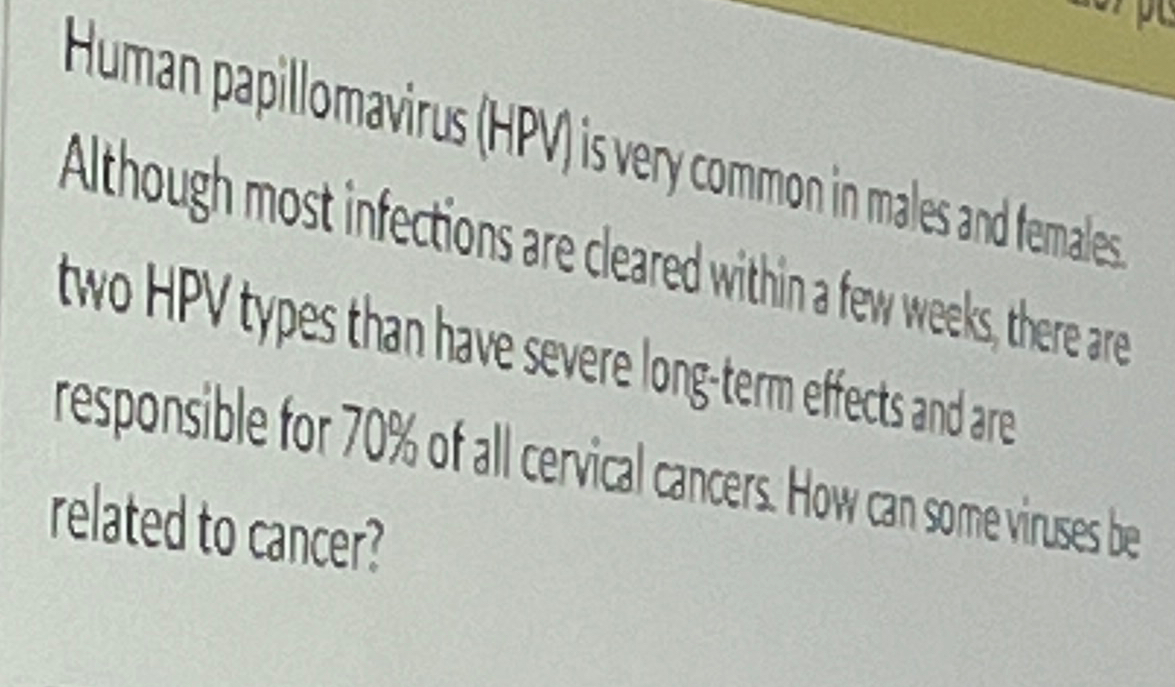 Solved Human papillomavirus (HPV) ﻿is very common in males | Chegg.com