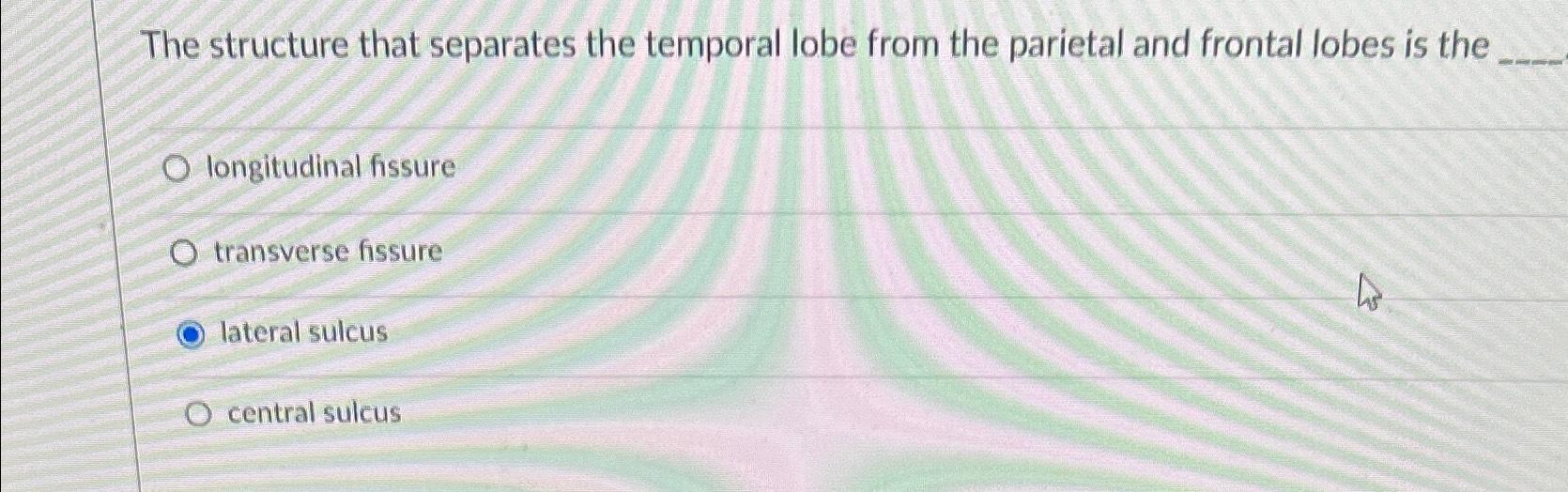 Solved The structure that separates the temporal lobe from | Chegg.com