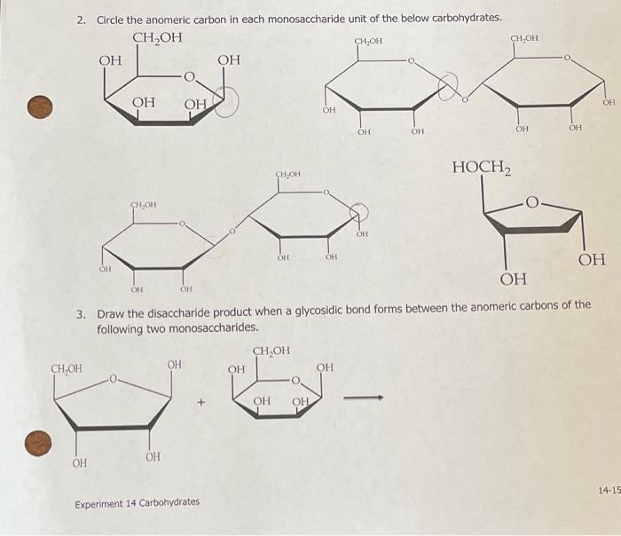 Solved 2. Circle the anomeric carbon in each monosaccharide | Chegg.com