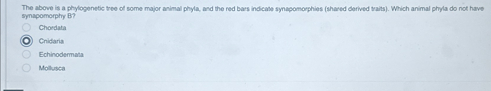 Solved The above is a phylogenetic tree of some major animal | Chegg.com